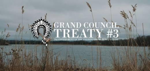 Treaty #3 Resource Specialist Letter of Introduction – Niisaachewan ...