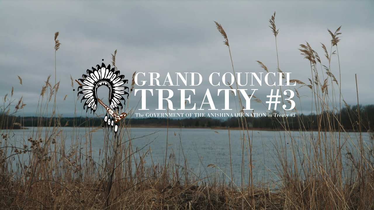 We are Treaty #3 and we vote! – Niisaachewan Anishinaabe Nation